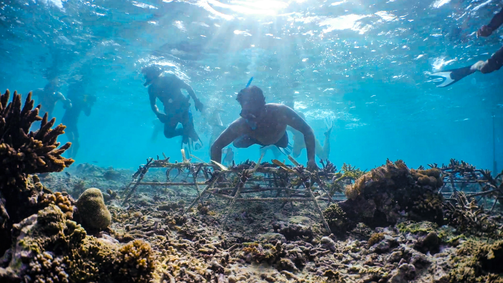 Conservation with The Coral Triangle Center in Bali - OWUSSNorthAmerica.org