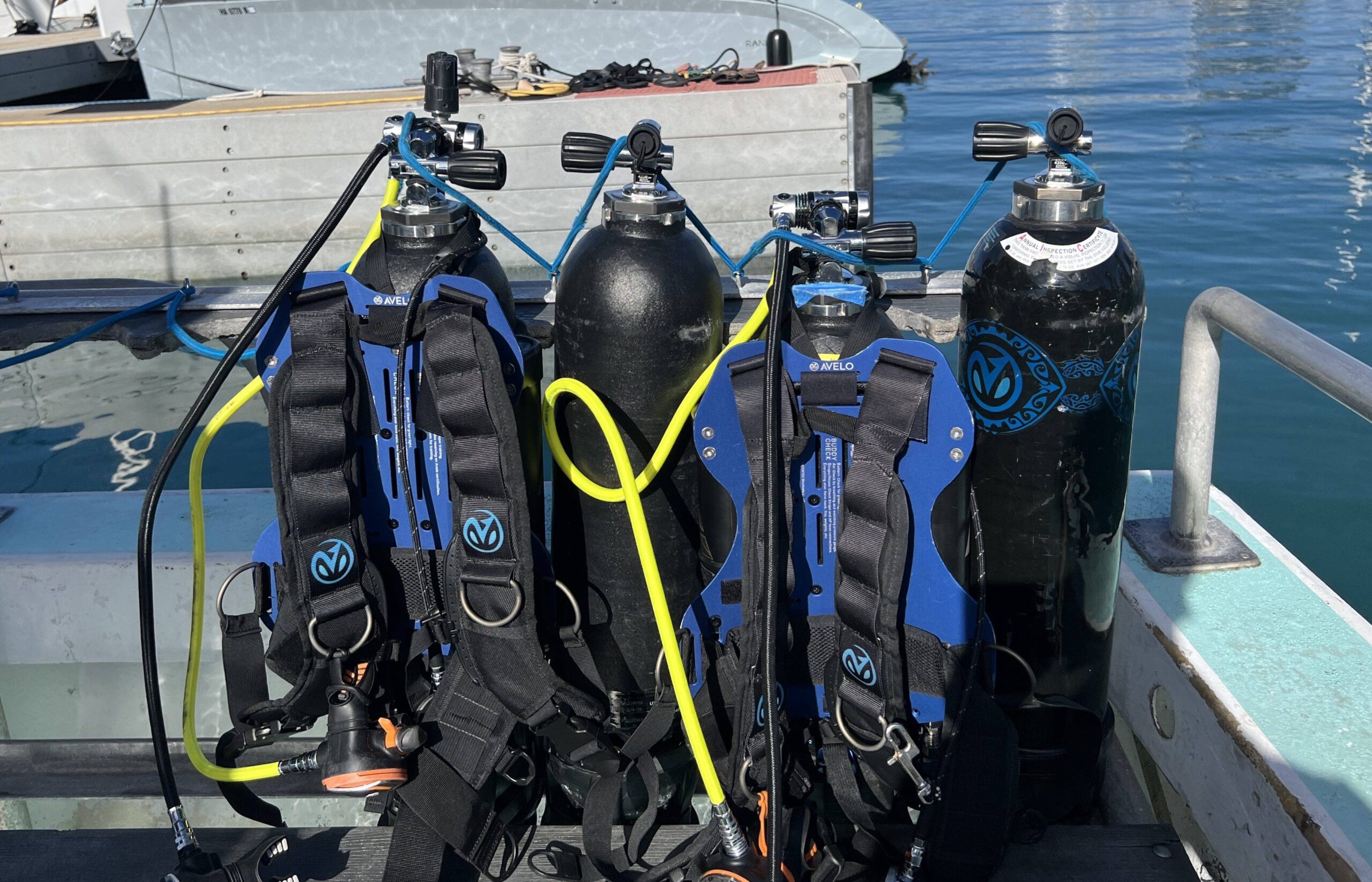 Diving Reimagined: My Experience Diving Avelo - OWUSSNorthAmerica.org